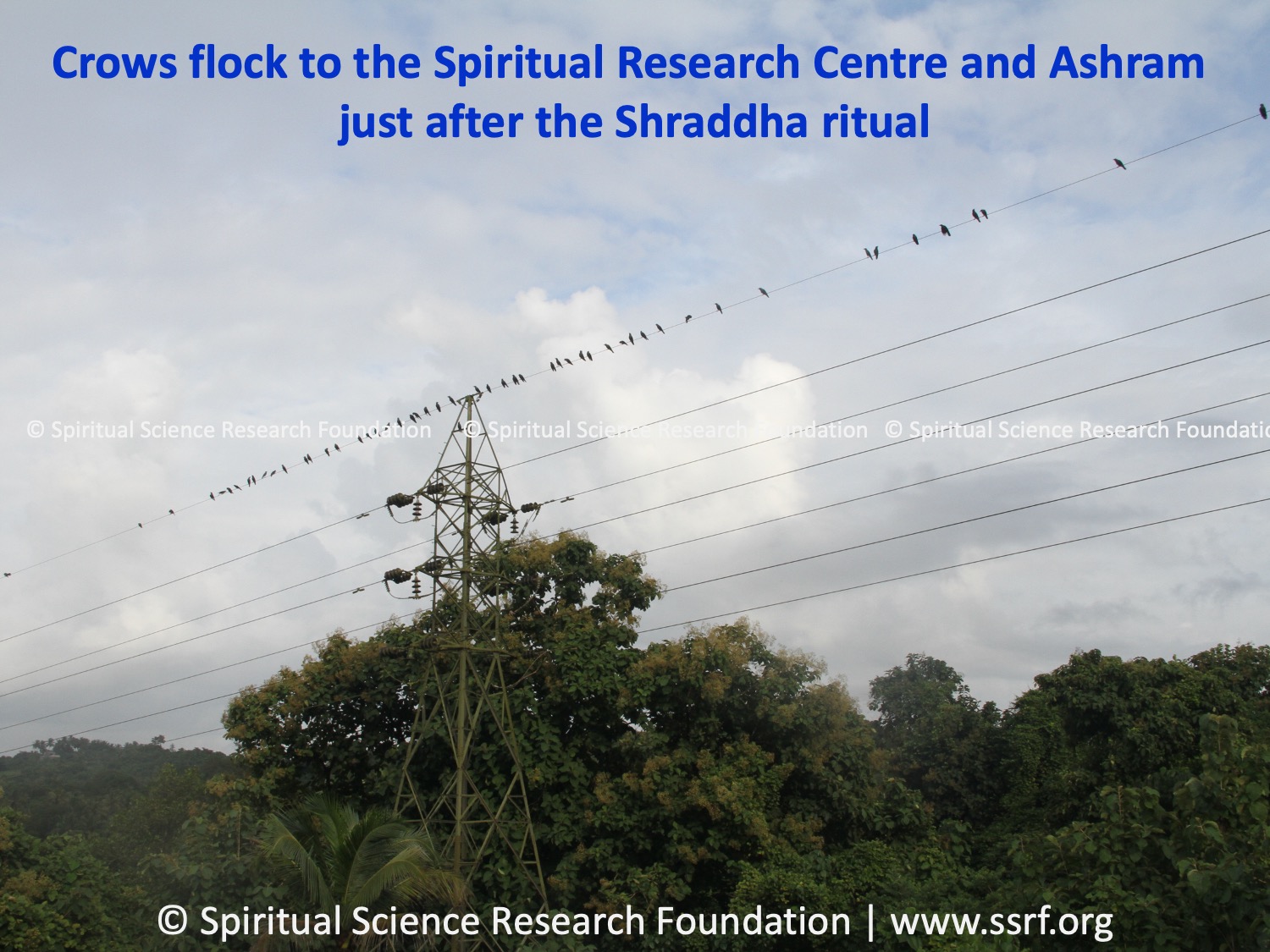 How the Shraddha ritual can help in Ancestor Veneration - Spiritual ...